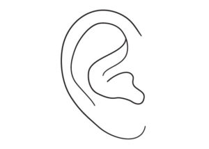 How to Draw Anime & Manga Tutorials - AnimeOutline