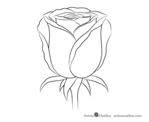 How to Draw a Rose Step by Step - AnimeOutline