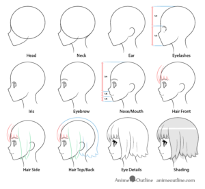 How one can Draw Anime Face Facet View (With Proportions) - Artshow24